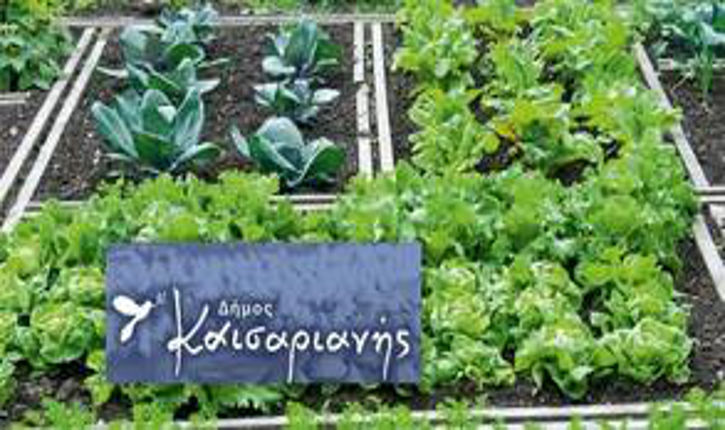 Με αφορμή το “Δημοτικό” Λαχανόκηπο Καισαριανής Παντιέρα ...